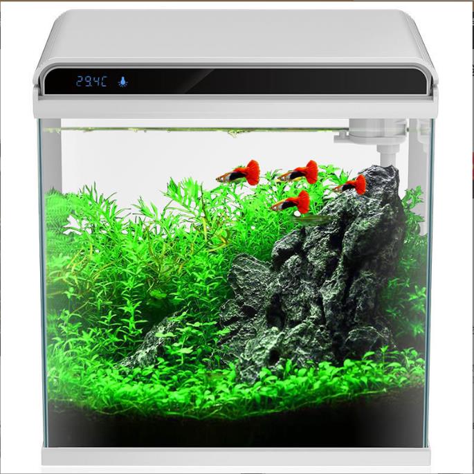 Glass Mini Fish Tank For Small Fish Aquarium Gold Ecological Desktop ...