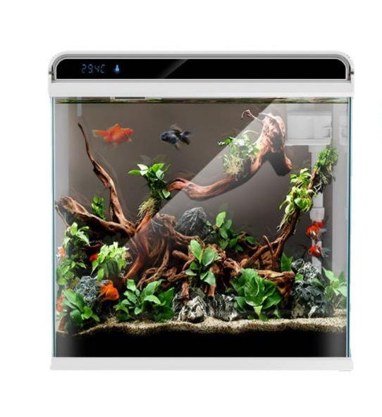 Glass Mini Fish Tank For Small Fish Aquarium Gold Ecological Desktop ...
