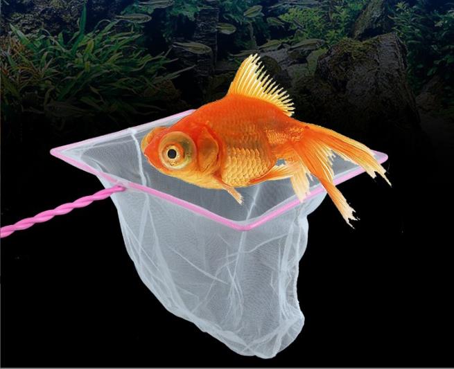 Fish Fishing Net Small Fishing Net Aquarium Fish Tank Plastic Fishing ...