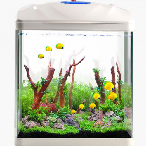 SUNSUN Aquarium Turtle Gold Fish Tank HR Ecological Fish Tank Mini ...